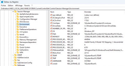 Process Windows et fichiers systèmes : smss.exe session manager ...